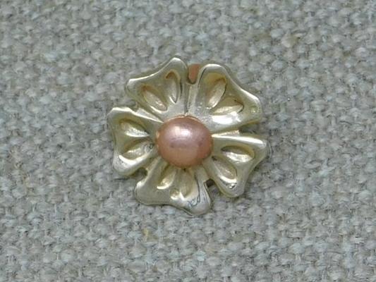 Stud 17 – Tod Cutler